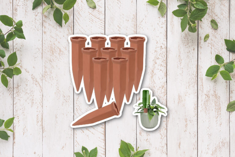 Self-Watering Pots: Good for You and Your Plants